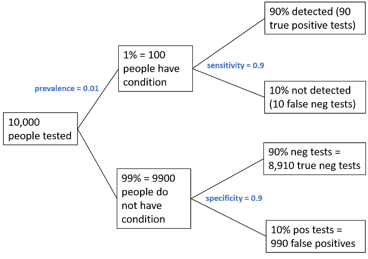 The False Discovery Rate FDR An Important Statistical Concept 